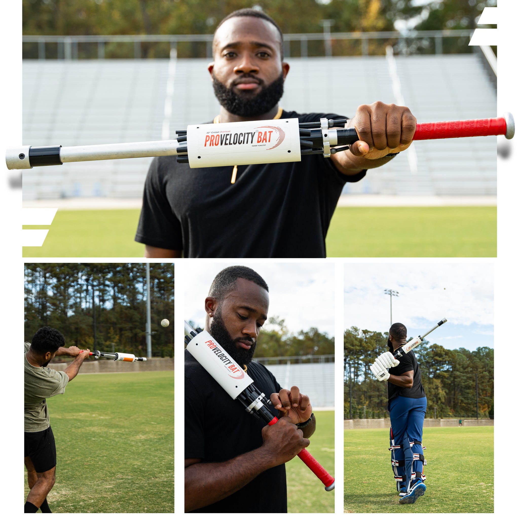 ProVelocity Cricket